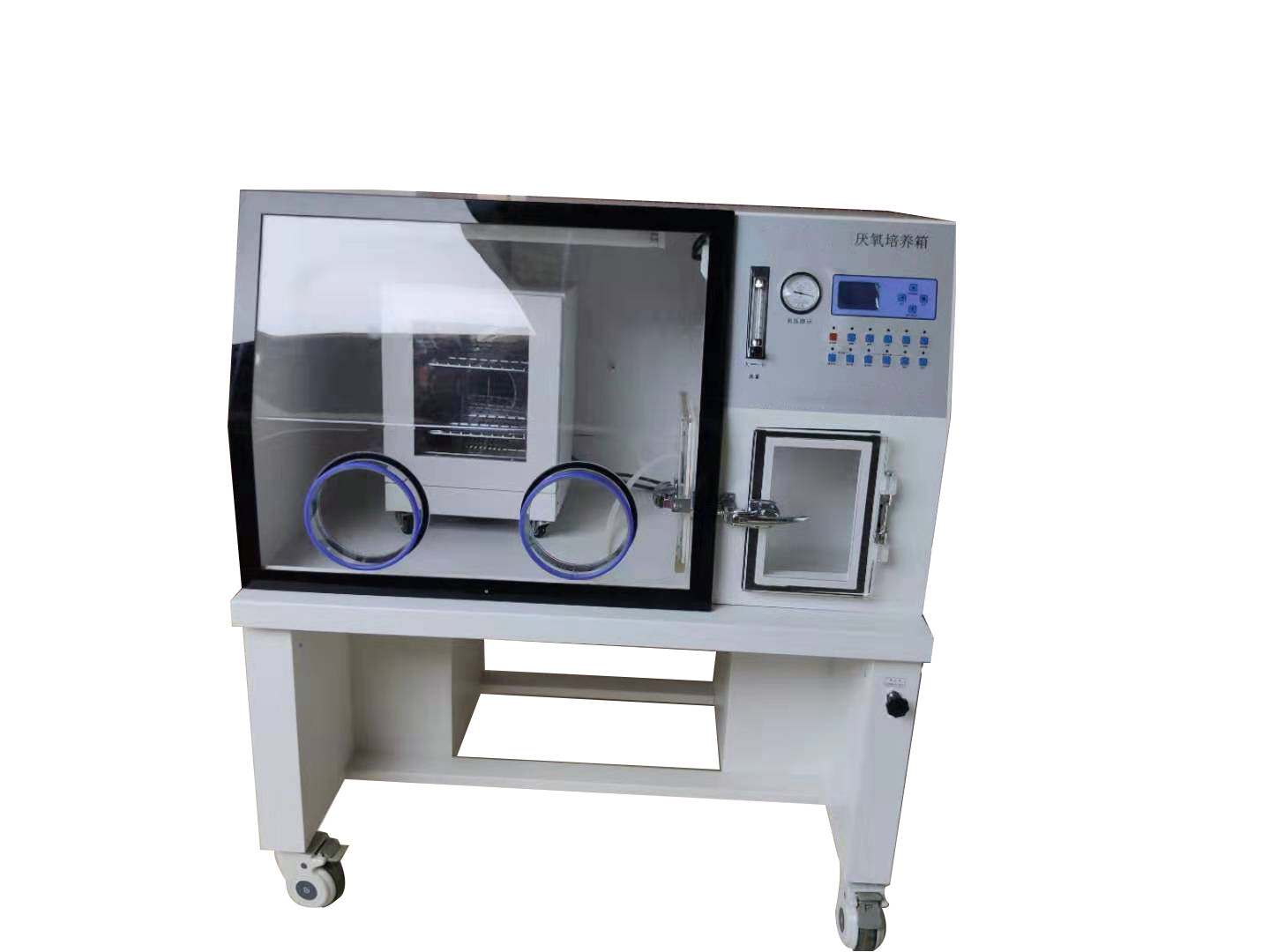 Vacuum Lab Anaerobic Incubator / Anaerobic Bacteria Cultivation Chamber