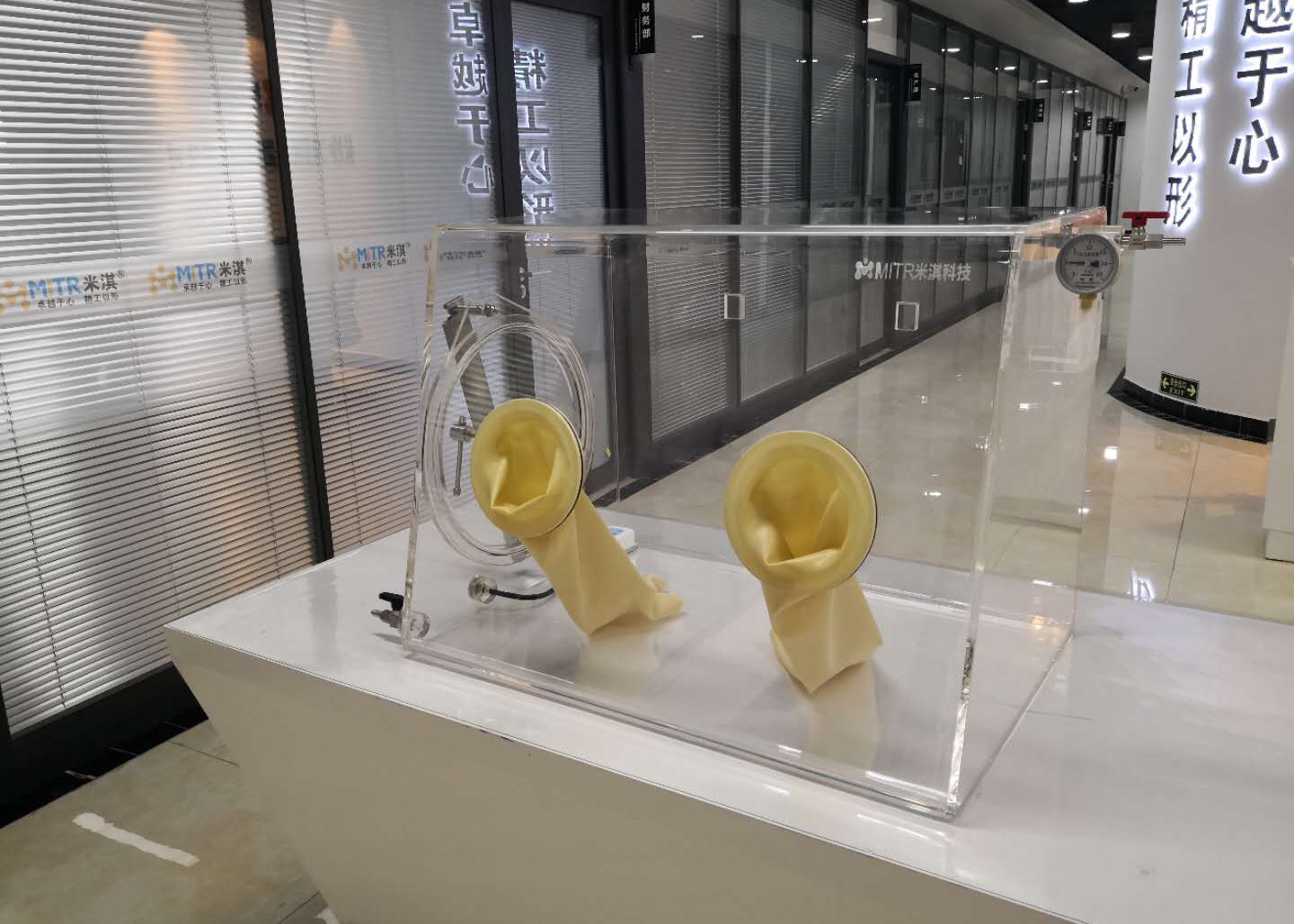 Isolation Small Lab Glove Box Vacuum Chamber , Inert Atmosphere Glove Box